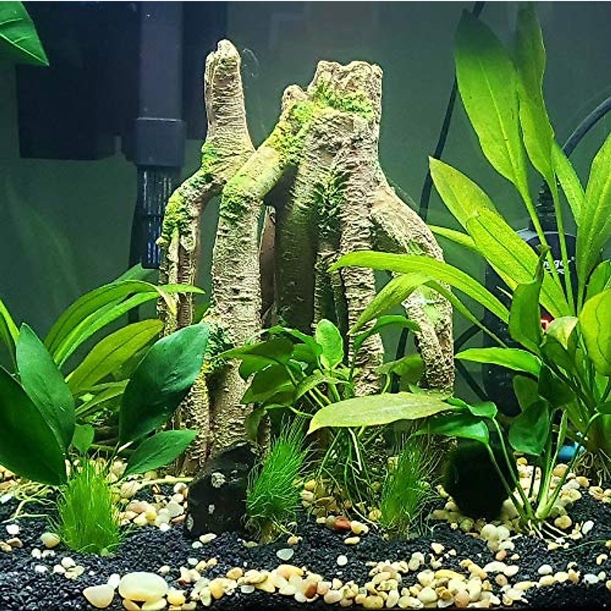 SLOCME Aquarium Resin Tree Trunk Ornament - Fish Tank Wood House Decor, Betta Fish or Other Pets Can Swim Through The Branches