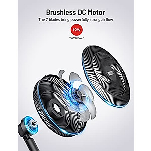 Paris Rhône Fans for Home Bedroom, Quiet Pedestal Floor Fan with Remote, Turbo&12 Speed Levels, 120° Oscillating, DC Motor Fan with 7 Blades, 8H Timer, Sleep Mode, Adjustable Height up to 46.8"