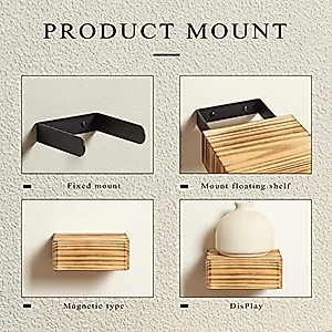 Freezing point Small Floating Shelf,Mini Wall Shelves for Kitchen Bedroom Living Room Bathroom Wall Decor Plant Display Collectibles Corner Decorative Storage Tiny Carbonize