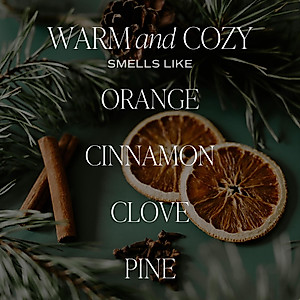 Sweet Water Decor Warm and Cozy Amber Reed Diffuser Set | Orange Peel, Cinnamon, Ginger, Clove, Cypress Scented Air Freshener | Fragrance Gift Sets | Housewarming Gifts | Decorative Scent Sticks