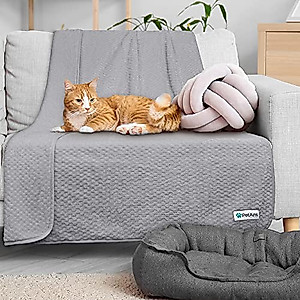 PetAmi Waterproof Dog Blanket, Leakproof Puppy Blanket for Medium Large Dogs, Furniture Sofa Couch Cover Protector, Fleece Pet Throw Indoor Cat Kitten, Reversible Washable Soft Plush, 40x60 Light Gray