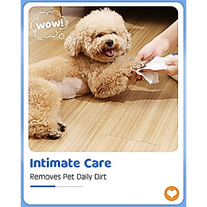 Pawaboo Dog Wipes for Paws and Butt, Unscented Hypoallergenic Pet Wipes for Dog Cat, Soft Thick Dog Grooming Wipe for Cleaning Deodorizing with Lids, Puppy Wipes for Face Ears Body- 1Pack/100Count