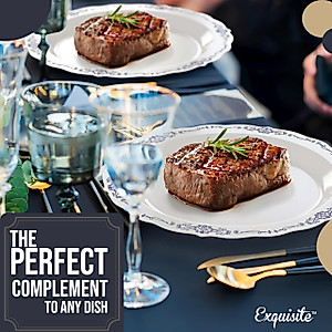 Exquisite Victorian Plastic Plates 60 Piece Plastic Disposable Plates for Party Set For 60 Guests 60 x 10 inch Plastic Dessert Plates Plastic Plates Disposable Heavy Duty White & Navy