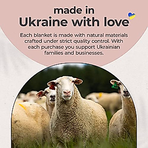 Cozy Blankets Wool Blanket | 100% Wool from New Zealand | Perfect as a Throw Blanket / Sofa Blanket | Virgin Wool Blanket with Fringes in Stripes Designs (140 x 200 cm)