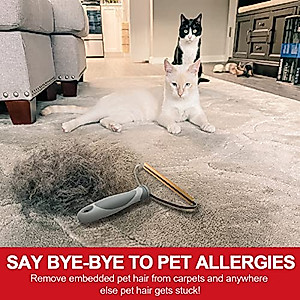 Pet Hair Remover, Dog Cat Hair Remover, Lint Cleaner Pro, Fur Removal Tool, Portable Carpet Scraper, Clothes Fuzz Rollers Hairball Shaver Brush for Carpets, Car Mat, Couch, Pet Bed, Furniture & Rug