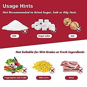 LANUEVA Grain Mill Grinder, 150g High Speed Spice Grinder Electric, 850W Wheat Flour Mill Pulverizer for Dry Corn Rice Pepper Coffee Beans Herb (110V, ON/OFF Switch)