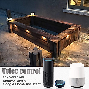 FVTLED WiFi Deck Lights Kit, WiFi Controlled 20pcs Low Voltage LED Step Lights Kit Φ1.97 Stainless Steel Waterproof Outdoor Recessed Railing Light Work with Alexa Google Home, Warm White, Black