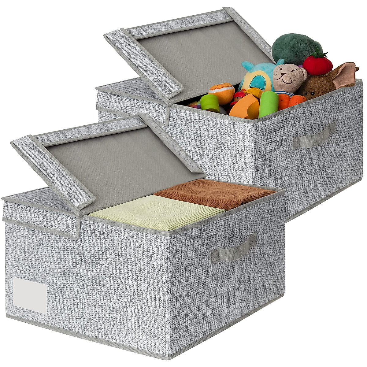 GRANNY SAYS Bundle of 2-Pack Large Rectangle Storage Bins & 2-Pack Closet Storage Bins