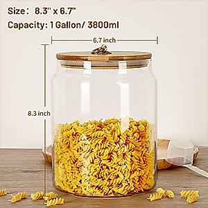 Totexil Large Glass Jars, 1 Gallon Thicken Glass Food Storage Jars with Bamboo Lids, Airtight Glass Canisters with Mental Handle, Kitchen Storage Containers for Coffee Beans, Cookie, Flour, Rice, Nuts