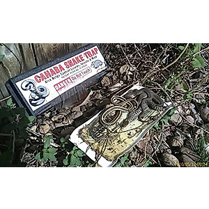 Cahaba Snake Trap (1 PK) Commercial Grade Large/Reusable 32"x10"x3" with (3) Large Catch Inserts Made in USA