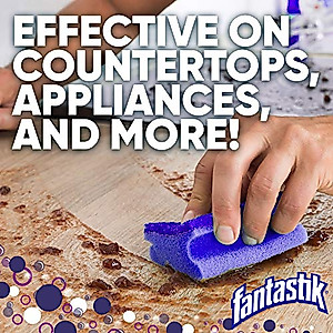 Fantastik All-Purpose Cleaner, With Bleach, 32 Fl Oz