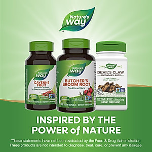 Nature's Way Butcher’s Broom, Traditional Herb, 720 mg per 2-Capsule Serving, Non-GMO Project Verified, 100 Vegan Capsules (Packaging May Vary)