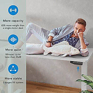 FLEXISPOT Classic 3 Stages Dual Motor Electric Standing Desk 55x28 Inches Whole-Piece Desk Board Height Adjustable Desk Electric Stand Up Desk Sit Stand Desk(White Frame + Natural Desktop)