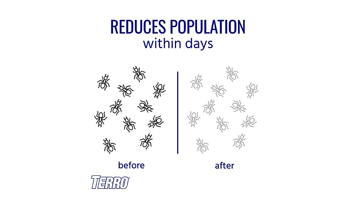 TERRO T300B Liquid Ant Killer: Eliminate Whole Colonies