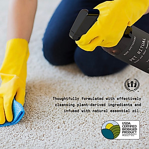 Muse Apothecary Complete Pet Stain and Odor Remover Enzyme Carpet Cleaner - Dog Stain Remover and Odor Neutralizer, Essential Oils Infused, Pet Stain Remover for Carpet - Pet Stain Carpet Cleaner 16oz