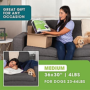 BARMY Weighted Blanket for Dogs with Washable Cover (3 Sizes) Thunder Blankets for Dogs, Water-Resistant Inner Blanket, Calming Aid for Dogs for Travel, Anxiety & Weather