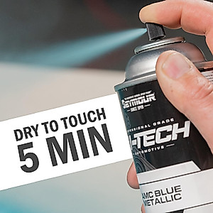 Seymour 16-139 Hi-Tech Enamels Spray Paint, Semi-Gloss Black 12 Ounce (Pack of 1)