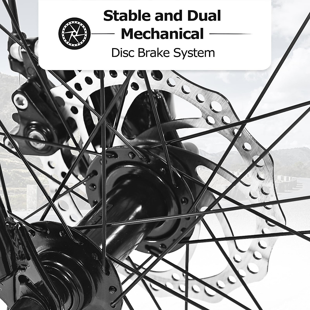 26x4 Inch Fat Tire Bike 21 Speeds, Dual Disc Brake Front Suspension, Mountain Trail Bike, Urban Commuter City Bicycle Adult/Youth