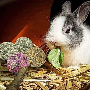 Hamiledyi Rabbit Chew Toys,Timothy Hay Ball Natural Flower Flavored Bunny Chew Treats Molar Snacks for Guinea Pig Chinchilla Gerbil Squirrel Teeth Grinding(34 Pcs)