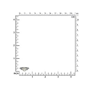 Silvershake 8mm Cultured Freshwater Pearl White Gold Plated 925 Sterling Silver Ring Size 9