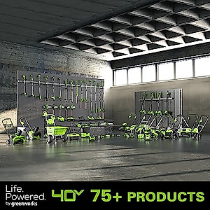 Greenworks 40V (165 MPH / 660 CFM / 75+ Compatible Tools) Cordless Brushless Backpack Leaf Blower, 8.0Ah Battery and Charger Included, Green