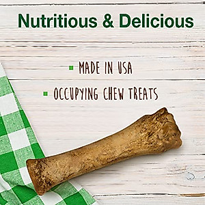 Nylabone Healthy Edibles Natural Dog Chews Long Lasting Bacon Flavor Treats for Dogs, X-Large/Souper (2 Count)