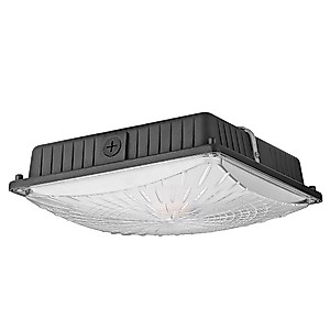 1000LED (4 Pack LED Canopy Light, 65W, Ceiling Lights Fixtures 8000LM Daylight 5000K, 250W HID/HPS Replacement, Waterproof IP65 Gas Station and Garage Light