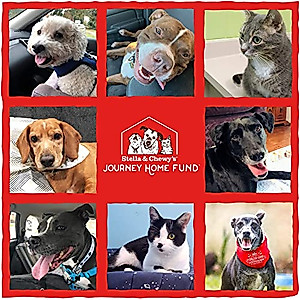 Stella & Chewy’s Freeze Dried Raw Super Beef Meal Mixer – Dog Food Topper for Small & Large Breeds – Grain Free, Protein Rich Recipe – 3.5 oz Bag