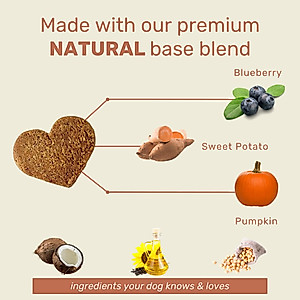 Canine Keeps Dog Allergy Chews - Itch Relief for Dogs – Omega 3 Salmon Fish Oil, Probiotics & Quercetin - Immune Support & Dog Allergy Relief Chews – Digestion + Skin & Coat Health - 90 Ct.