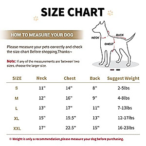 LESYPET Warm Dog Jacket Winter Dog Coats Windproof Waterproof Fleece Lined Dog Leather Jackets for Small Dogs Puppy Black Large