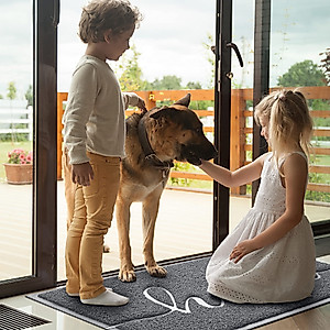 BeneathYourFeet Door Mat (36"x24",Grey) Welcome Mat Low Profile Floor Mat Front Doormat Non Slip Mats for Entryway, Patio, High Traffic Areas