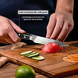 BESTERiSA Paring Knife -4 Inch Fruit Knife with Cover-High Carbon German Stainless Steel EN1.4116 Ultra Sharp Vegetable and Peeling Knif with Gift Box for Home Kitchen and Restaurant.