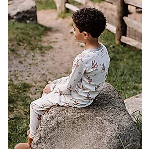 Burt's Bees Baby Baby Girls' Kids 2-Piece Family Jammies, Matching Holiday, Organic Cotton Pjs Pajama Set, Dasher and Dancer, 10 Years