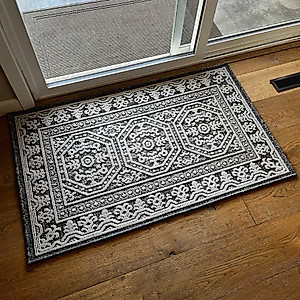 Pilgrim Home and Hearth 19653-1 Area Rugs, 46" x 28", Beautiful