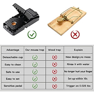 Dvcindy Mouse Traps Indoor for Home Small Mouse Trap for House Mice Snap Trap Effective Sanitary Quick Mouse Catcher - 12 Pack