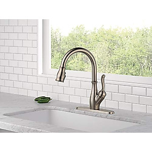 Delta 19978Z-SS-DST Leland Single-Handle Pull-Down Sprayer Kitchen Faucet with ShieldSpray in Stainless