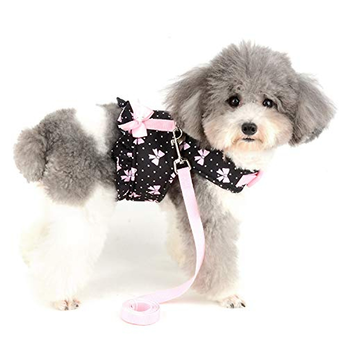 Zunea No Pull Small Dog Girl Harness Dress Escape Proof Cat Kitten Vest Harness Leash Set Step-in Soft Cotton Padded Polka Dot Jacket Chihuahua Puppy Clothes with Cute Bow for Walking Black M