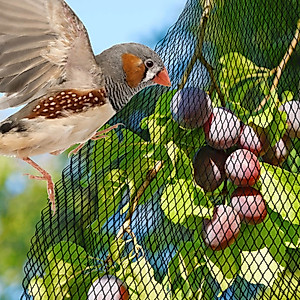 PACETAP Pond Netting Kit 20 x 30 Ft,Pond Netting for Leaves,Koi Pond Cover,Heavy Duty Koi Pond Netting,Pool Protective Cover Netting Protecting Koi Fish from Birds, Cats -Stakes Included