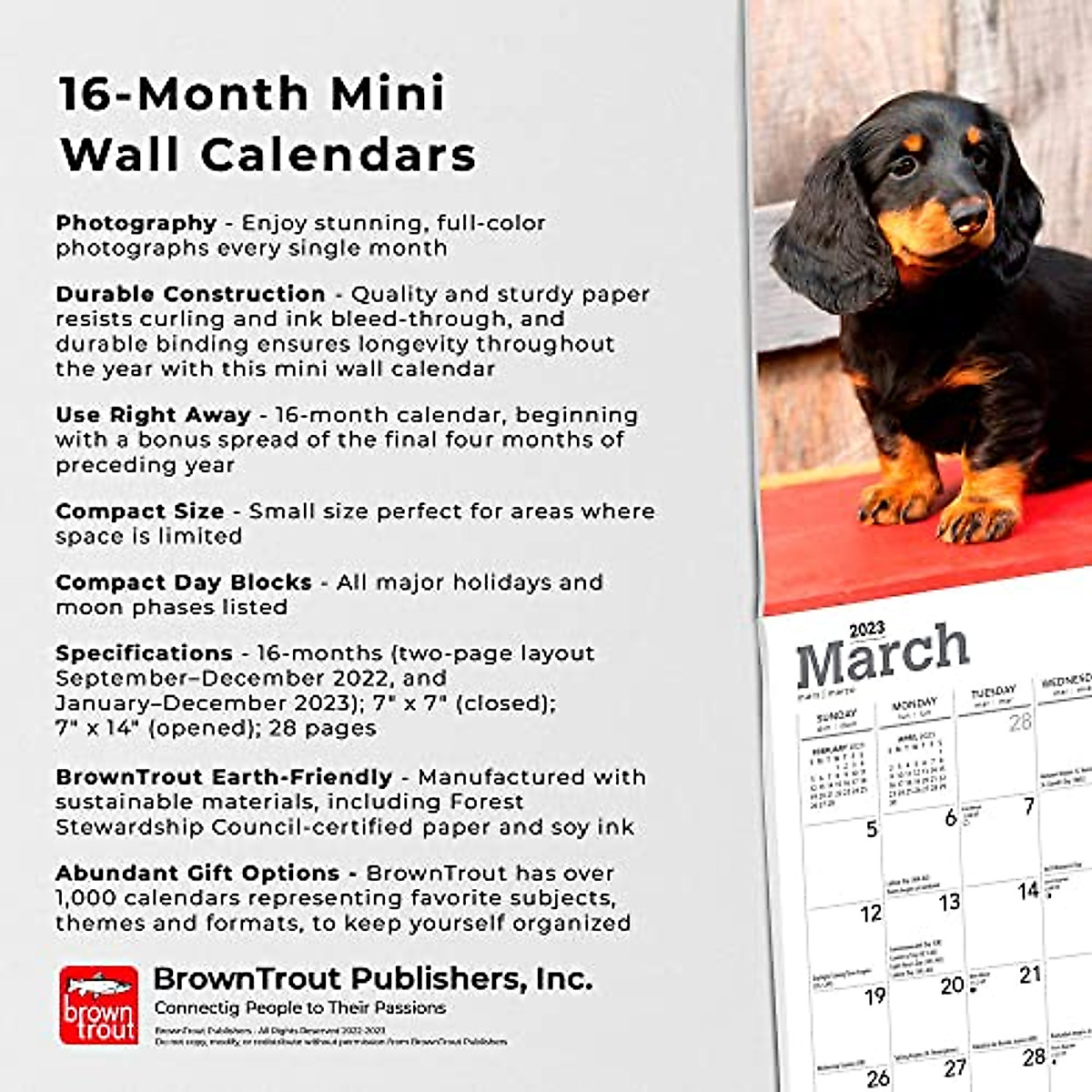Dachshund Puppies | 2023 7 x 14 Inch Monthly Mini Wall Calendar | BrownTrout | Animals Dog Breeds Puppy DogDays