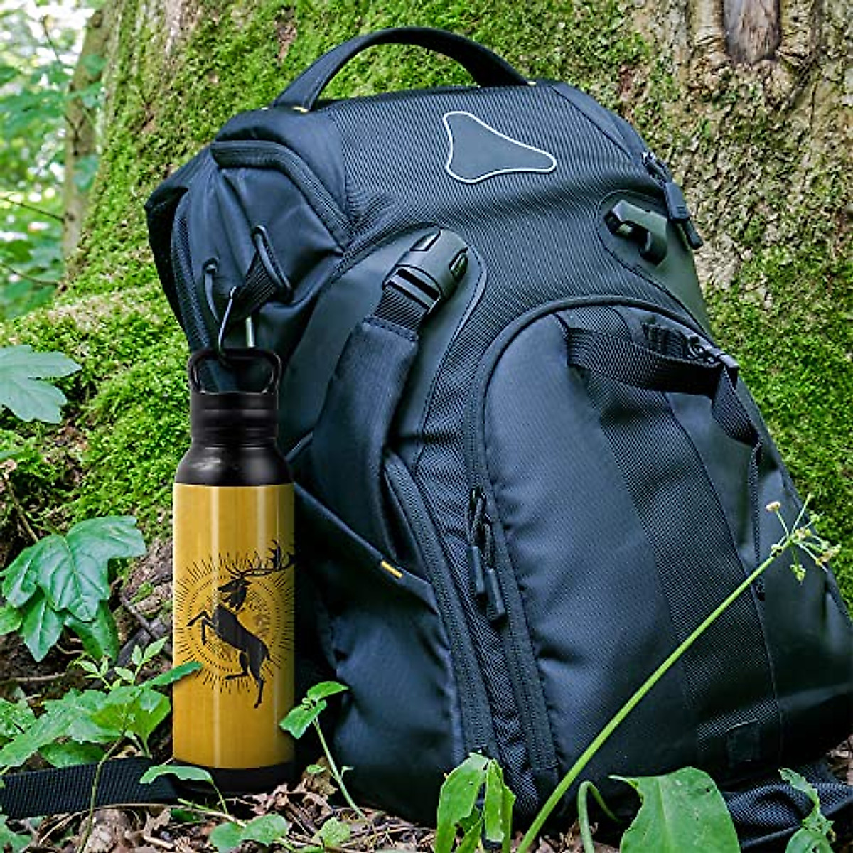 Game of Thrones OFFICIAL Baratheon Sigil 24 oz Insulated Canteen Water Bottle, Leak Resistant, Vacuum Insulated Stainless Steel with Loop Cap, Black