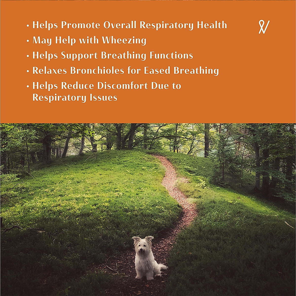 2024 Everpath Upgraded Respiratory Support for Dogs - 2 Fluid Ounces/60mls | Made in The USA | Boosts Immune Support & Healthy Breathing | Enhances Respiratory Function | Natural Solution for Pets