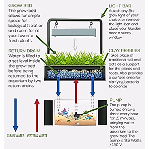 AquaSprouts Garden, Self-Sustaining Desktop Aquarium Aquaponics Ecosystem Kit, fits Standard 10 Gallon Aquariums