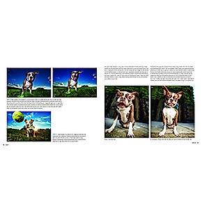 Dogtography: A Knock-Your-Socks-Off Guide to Capturing the Best Dog Photos on Earth