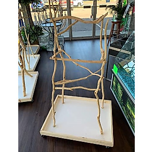 ExoticDad XS Parrot Stand - Customize Your Perch Designed Natural Dragonwood Bird Perch on Wheels Stand for Parrot, Cockatoo, Macaw, Conure, Birds, Cockatiel, African Grey - (24×36 Ft - B - 4 Ft H)