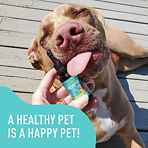 Nature's Synergy Hemp Oil for Dogs, Cats & Pets, Omega 3 6 9 Fatty Acids for Hip and Joint Support, Skin and Coat Health, Calming Dog Supplement to Support Stress from Travel, Separation, 1 Oz Bottle