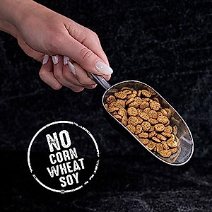 CRAVE Grain Free Indoor Adult High Protein Natural Dry Cat Food with Protein from Chicken & Salmon, 10 lb. Bag