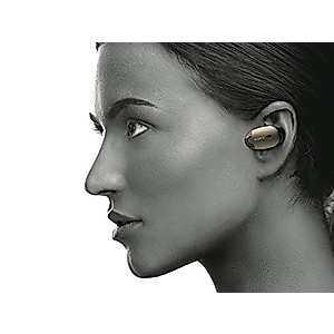 SONY Wireless Noise-Canceling Headphones WF-1000X (International version/seller warranty) Gold