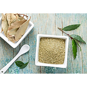 Bay Leaf Laurel Tree Live Plant Herb Bush for Planting Ornament Perennial 4 to 8 Inch Tall