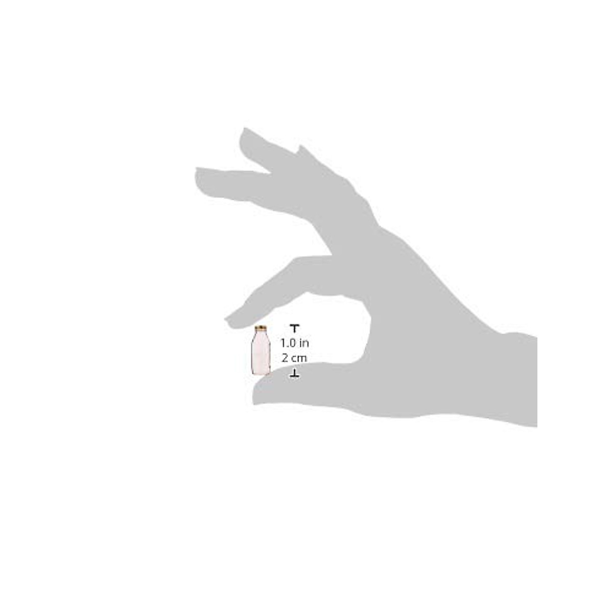 Bormioli Rocco Quattro Stagioni Preserving 1L Round Clear Glass Jug, Flasche 1.0 Liter, Transparent (365600-MQ2)