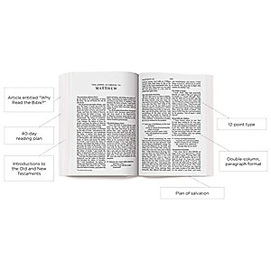 ESV Economy Bible, Giant Print